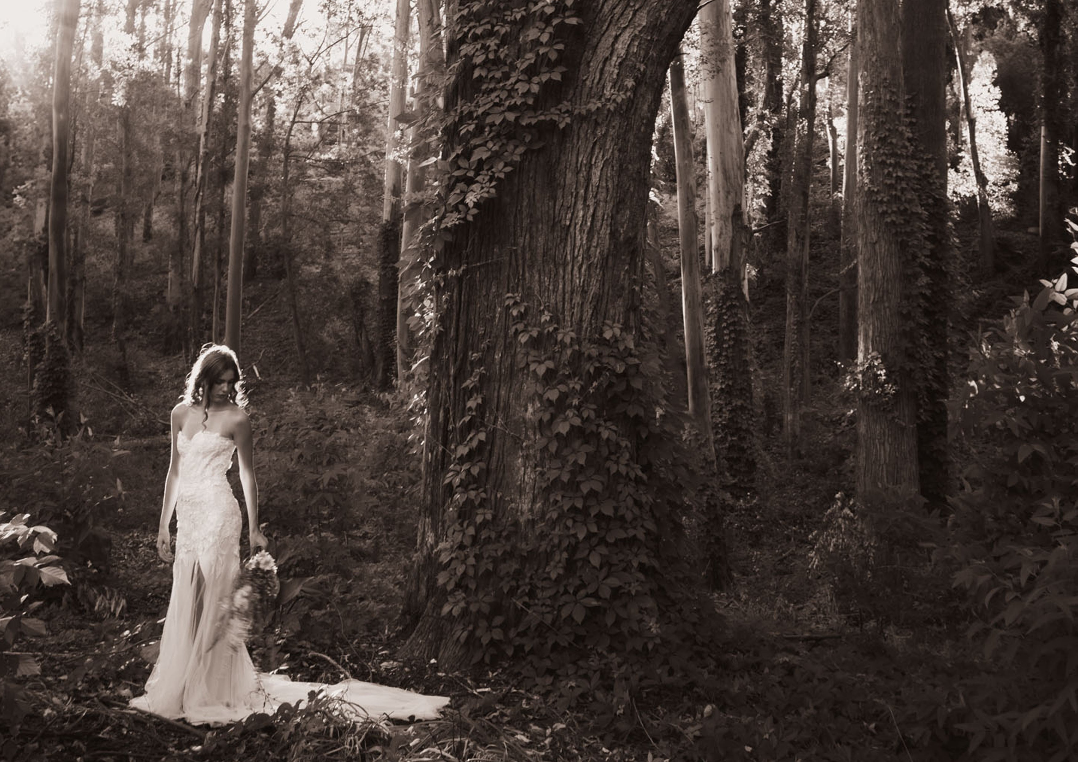 Forest 2024 – Fender Bridal Design